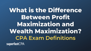 What is the Difference Between Profit Maximization and Wealth ...